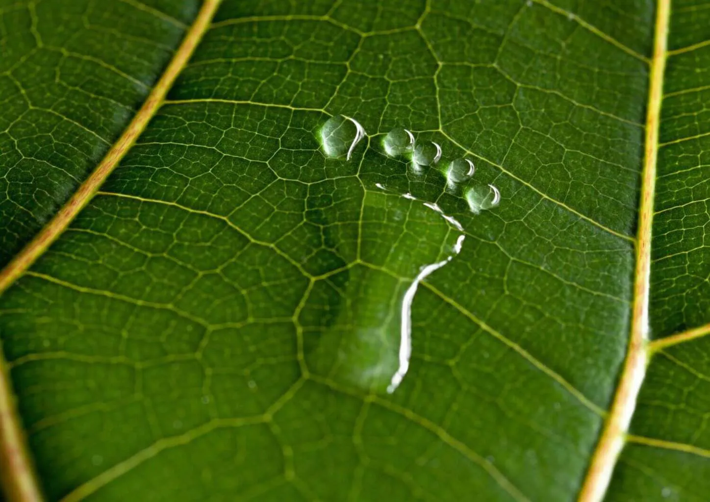 %title% %page% %sep% %sitename%